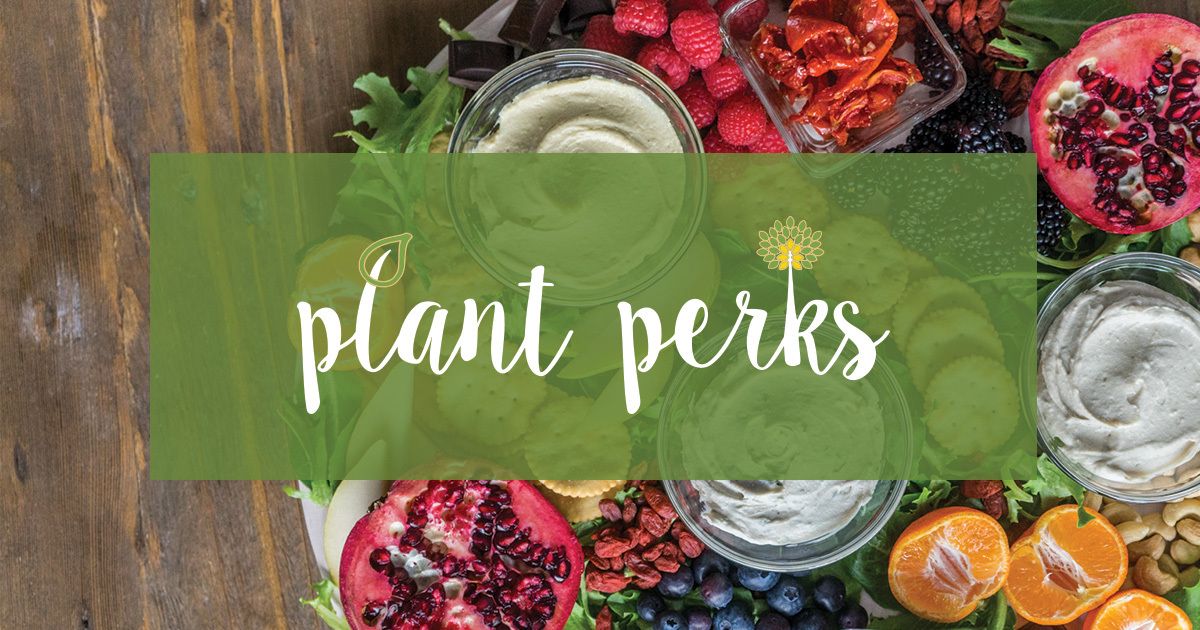 Plant Perks | Super Clean Plant-Based Cheezes, Dips & Sour Cream